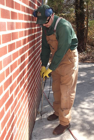 7 Ways to Detect Termites in Your Home - Brody Brothers Pest Control